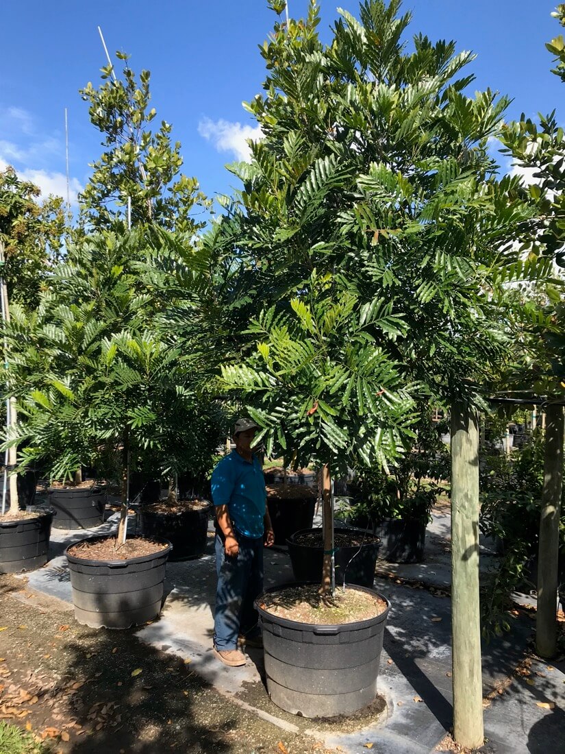 Index of /wp-content/uploads/2022/01